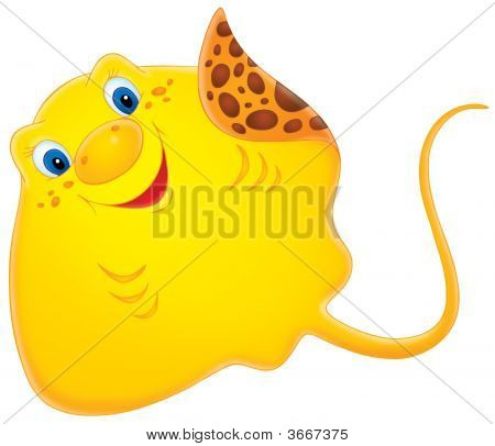 Numb Fish Images, Illustrations & Vectors (Free) - Bigstock