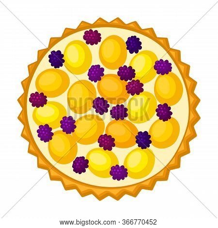 Cake Top View Vector Vector & Photo (Free Trial) | Bigstock