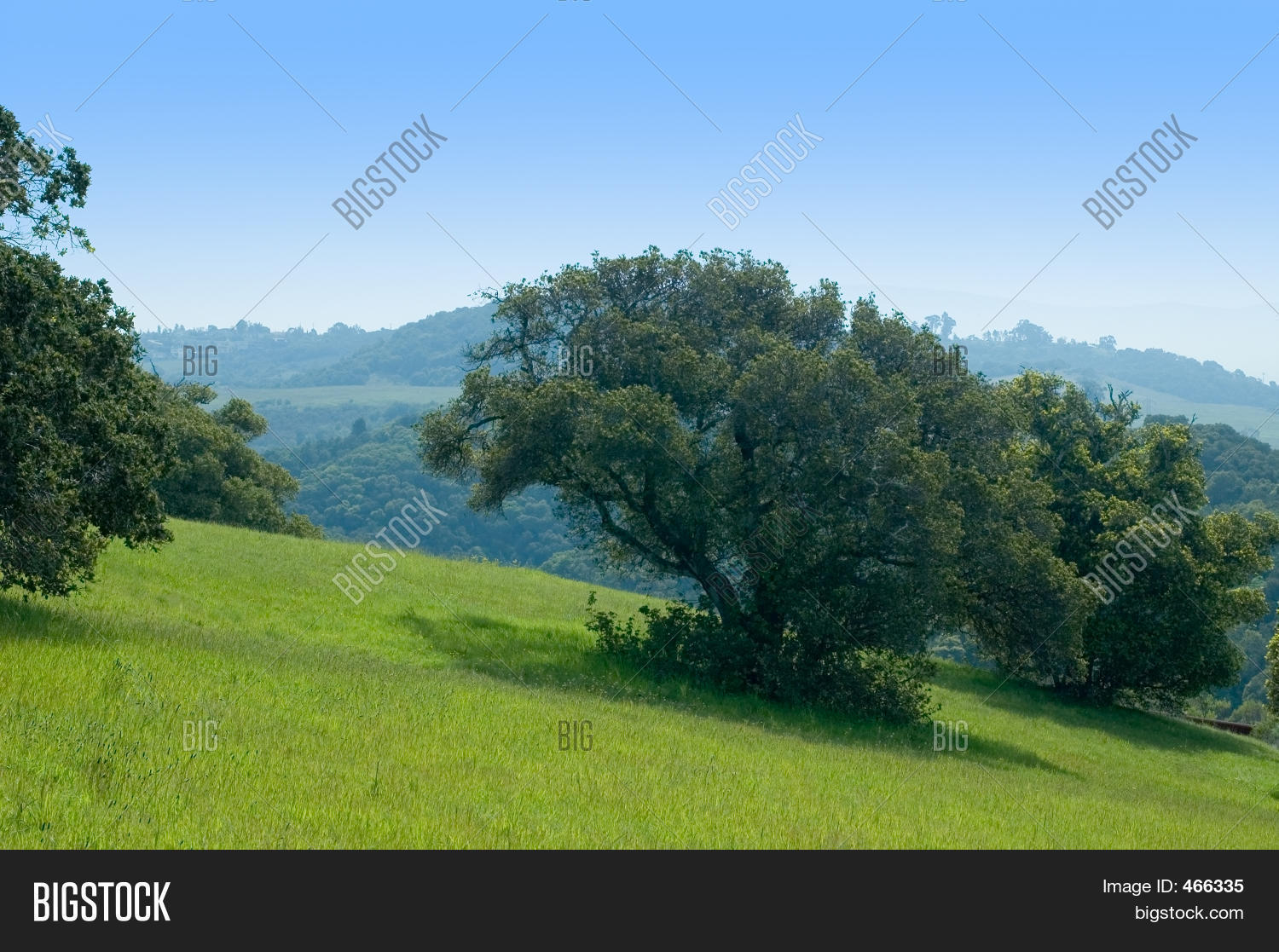 Spring Hills Image & Photo (Free Trial) | Bigstock