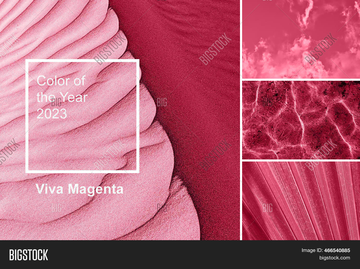 Magenta Color Sample