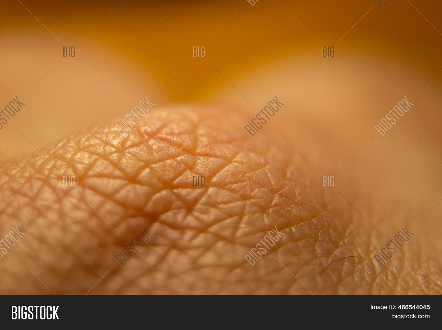 ภาพและภาพถ่าย (ทดลองใช้ฟรี) | Bigstock