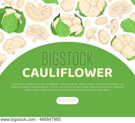 Fresh Cauliflower Vector & Photo (Free Trial) | Bigstock