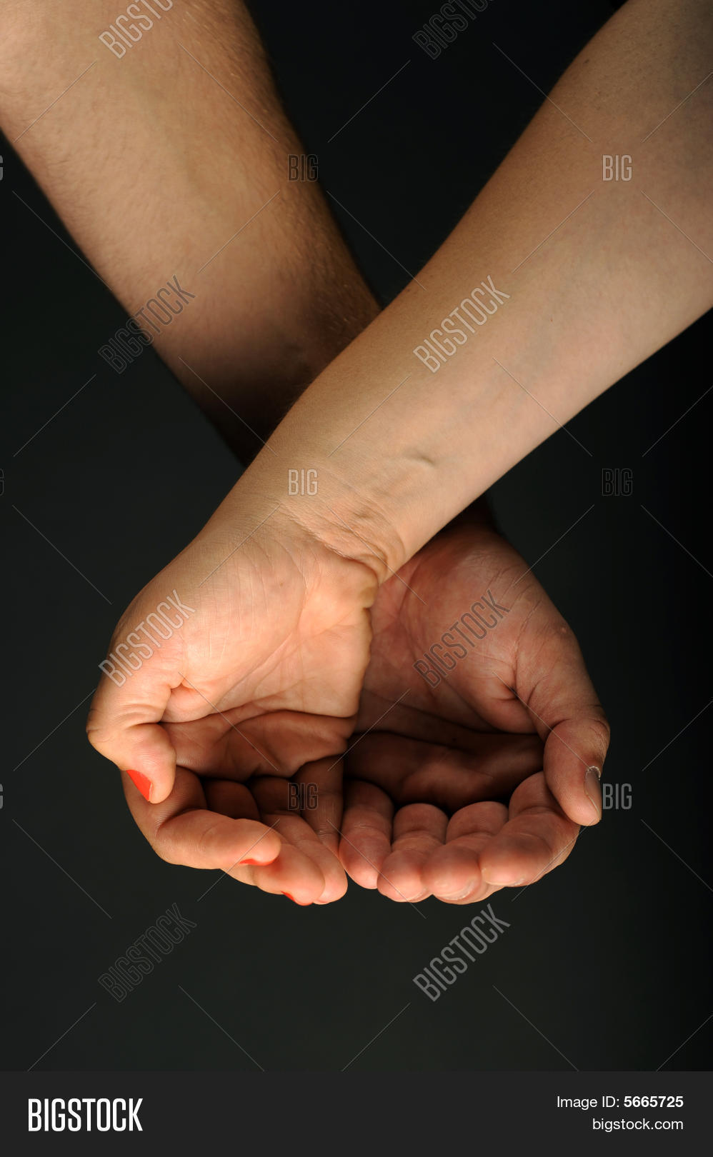 Offering Hands Image & Photo (Free Trial) | Bigstock