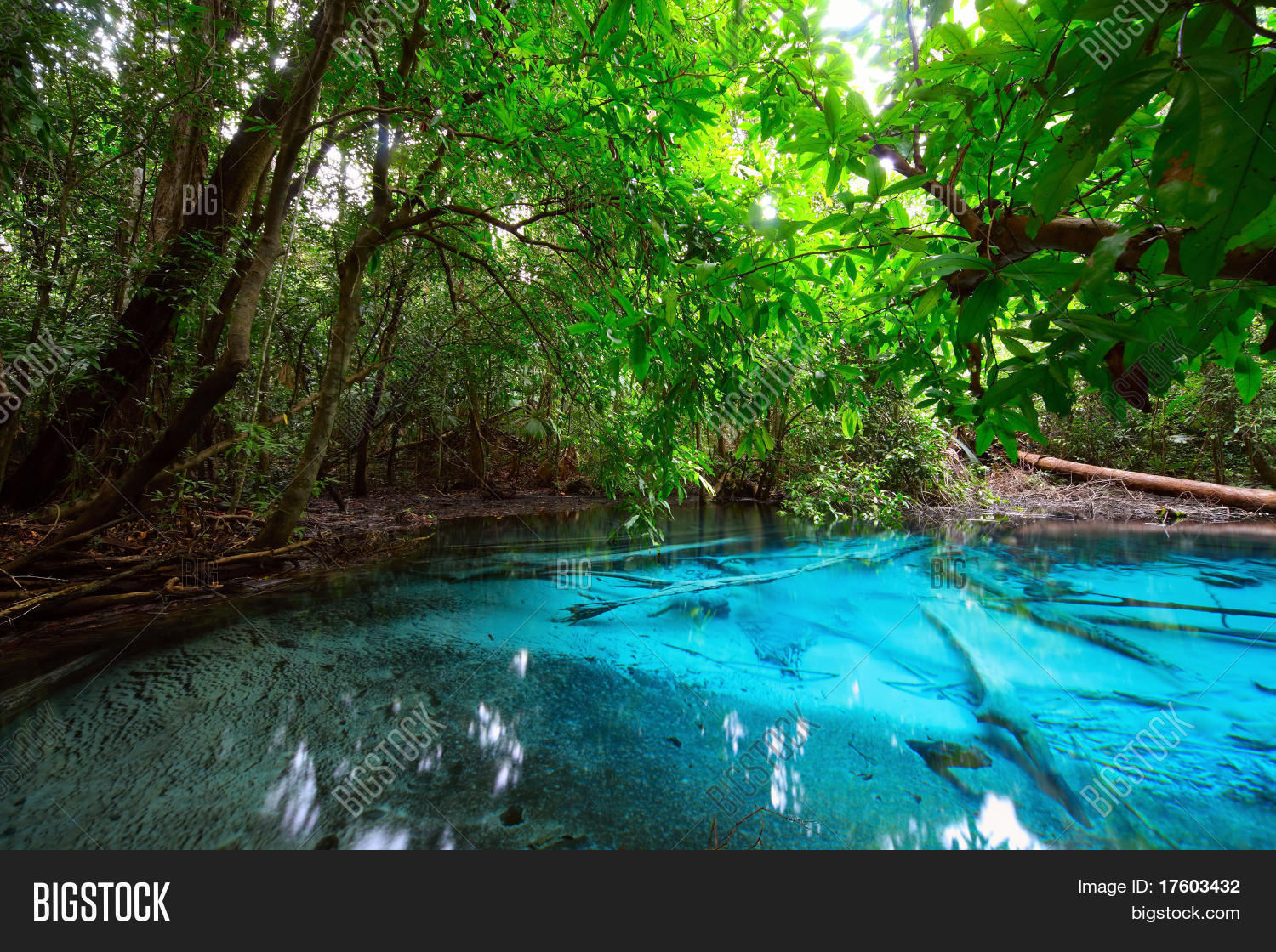 Pond Clear Blue Water Image & Photo (Free Trial) | Bigstock