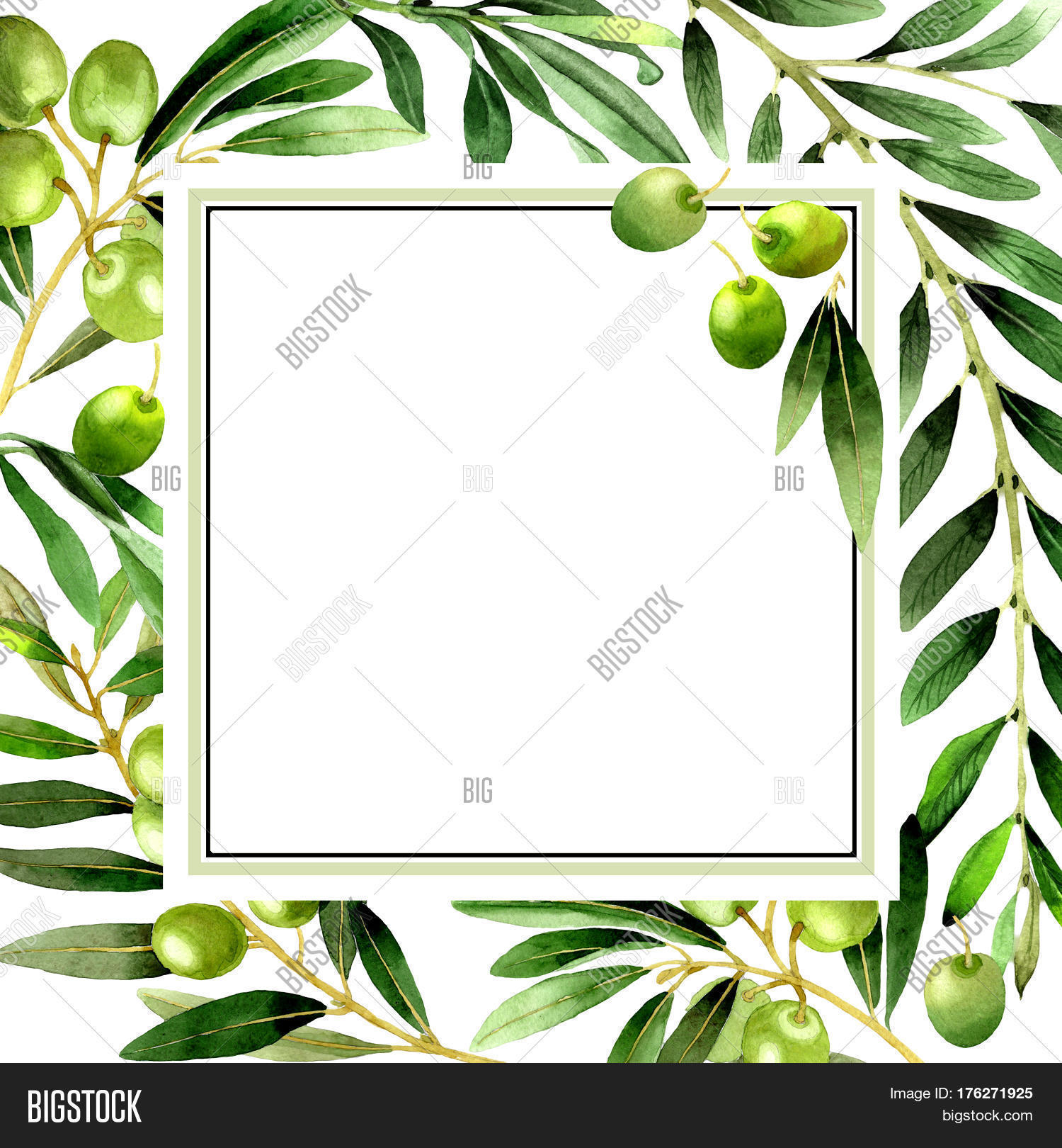 Olive Tree Frame Image & Photo (Free Trial) | Bigstock