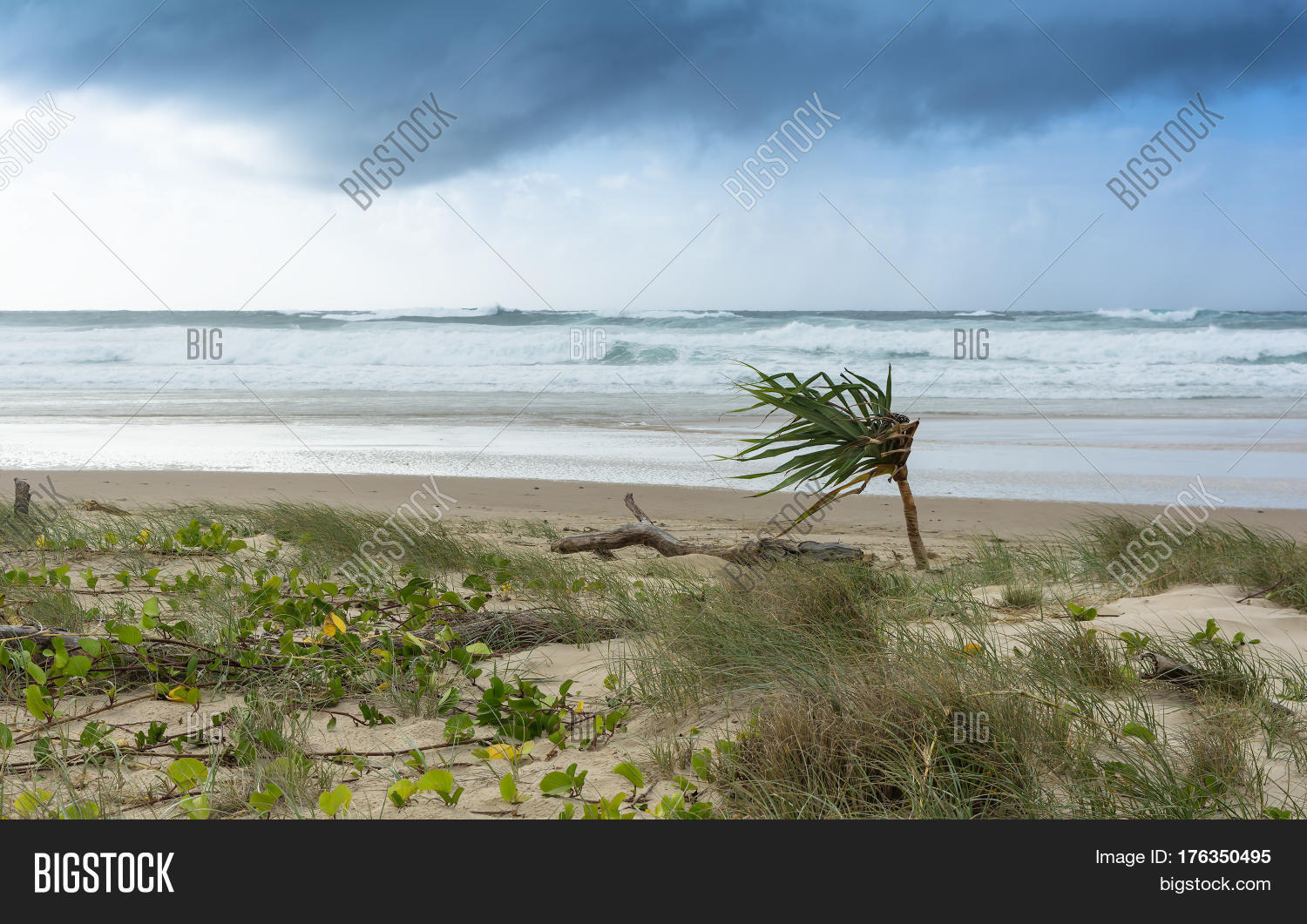 Gray Cloudy Sky Windy Image & Photo (Free Trial) | Bigstock