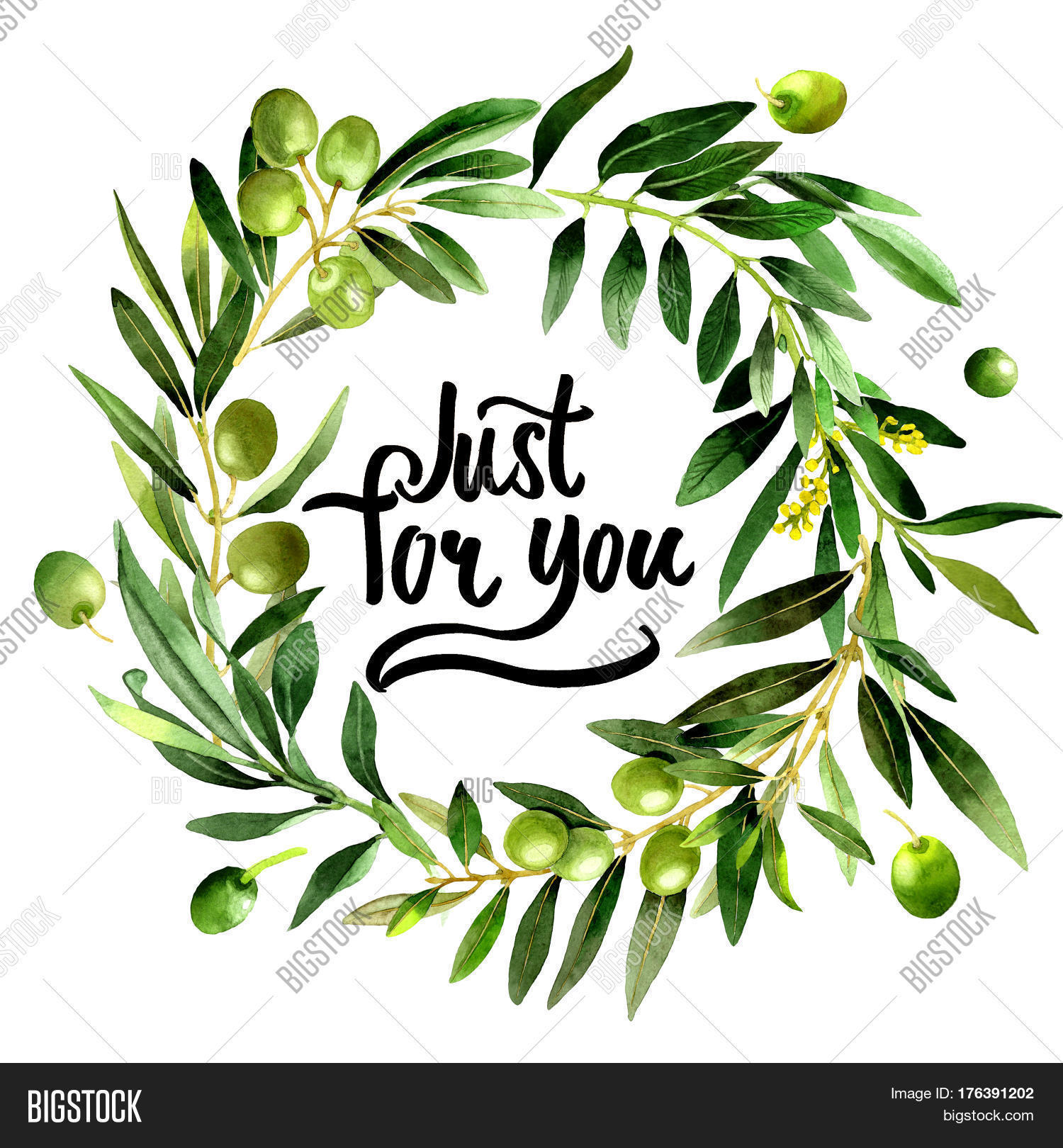 Olive Tree Wreath Image & Photo (Free Trial) | Bigstock