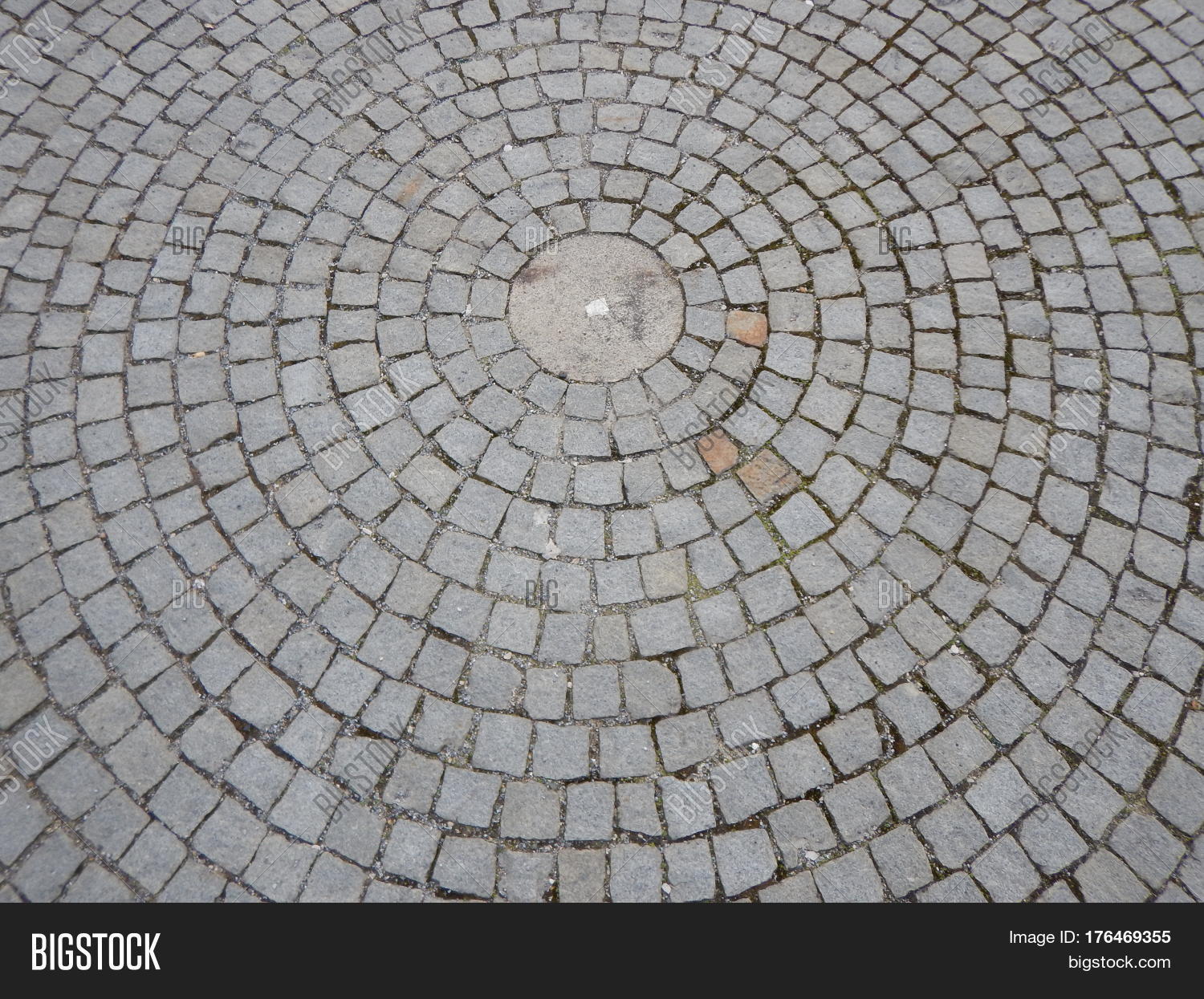 Circle Pattern Made Image & Photo (Free Trial) | Bigstock