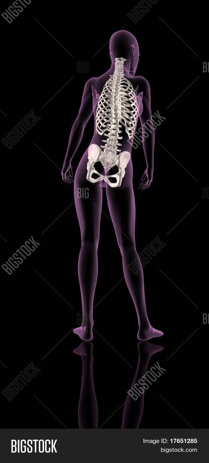 3D Render Female Image & Photo (Free Trial) | Bigstock
