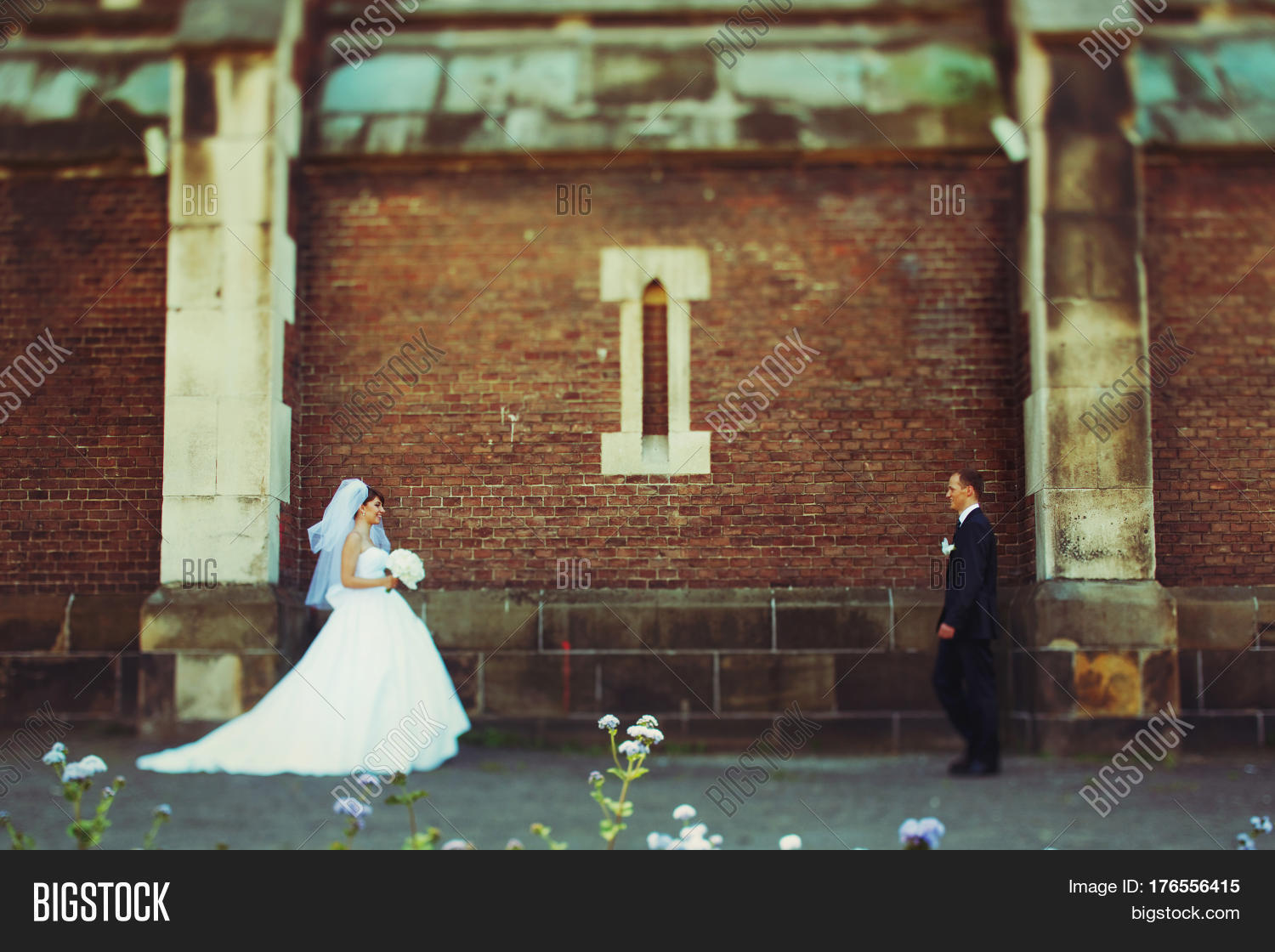 Bride Groom Go Each Image & Photo (Free Trial) | Bigstock