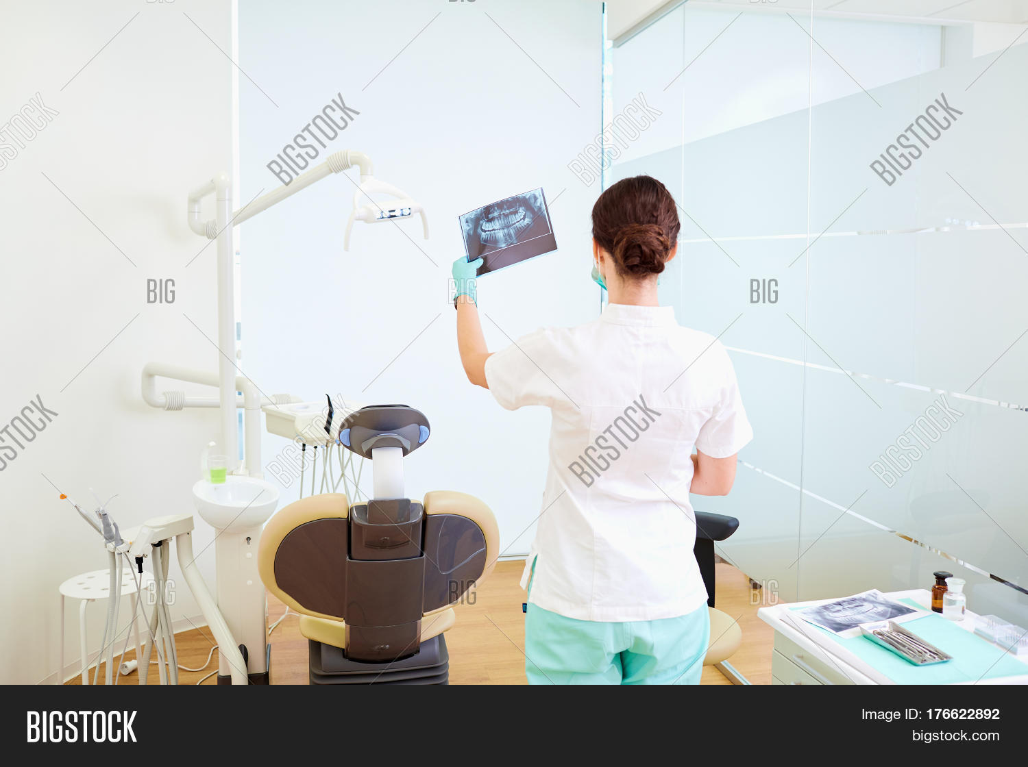 Back View. Dentist Image & Photo (Free Trial) | Bigstock