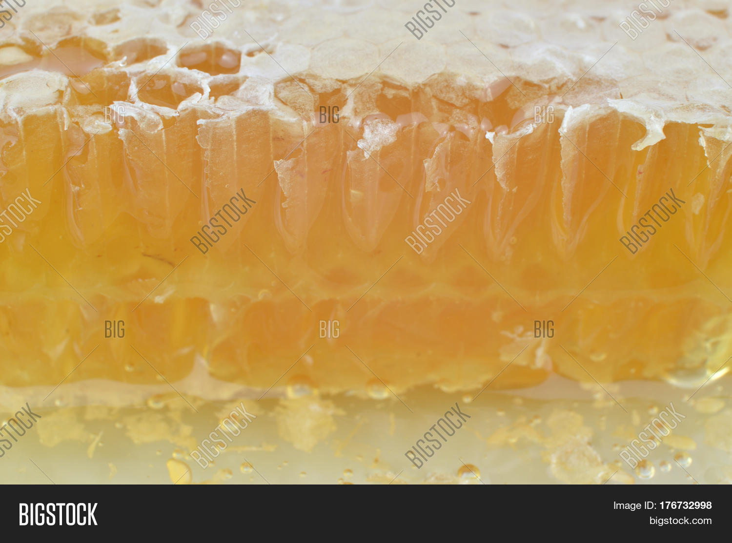 Macro Honeycomb Cross Image & Photo (Free Trial) | Bigstock