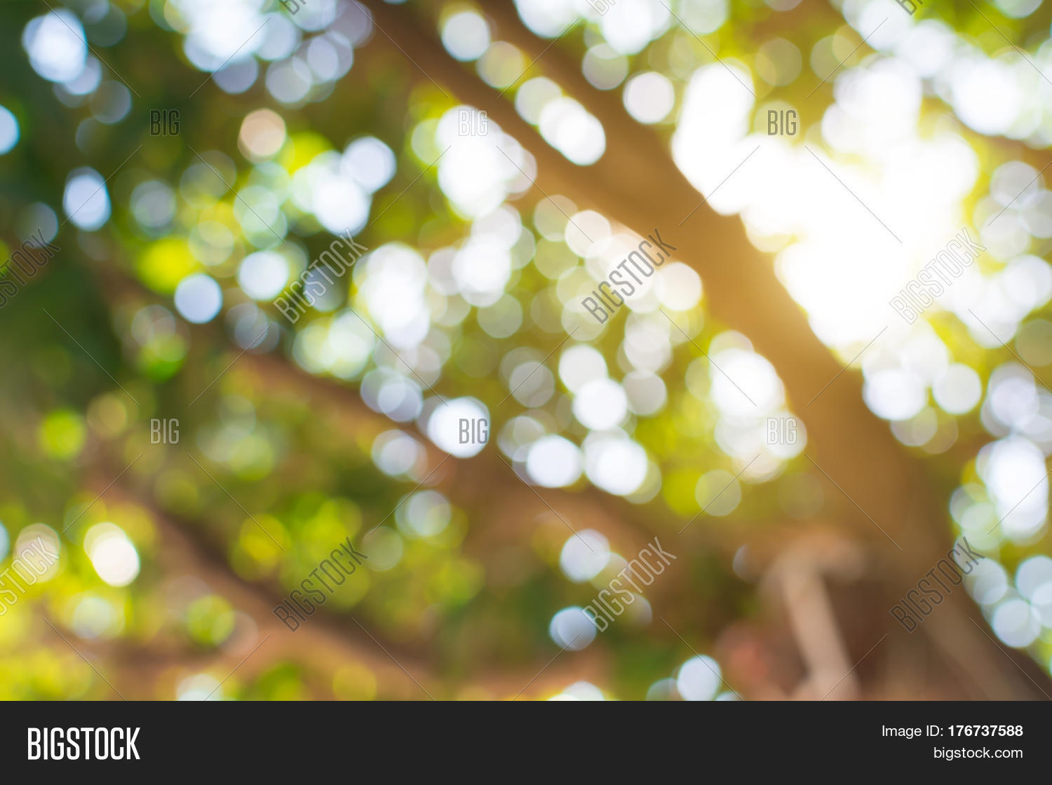 Abstract Nature Blur Image & Photo (Free Trial) | Bigstock