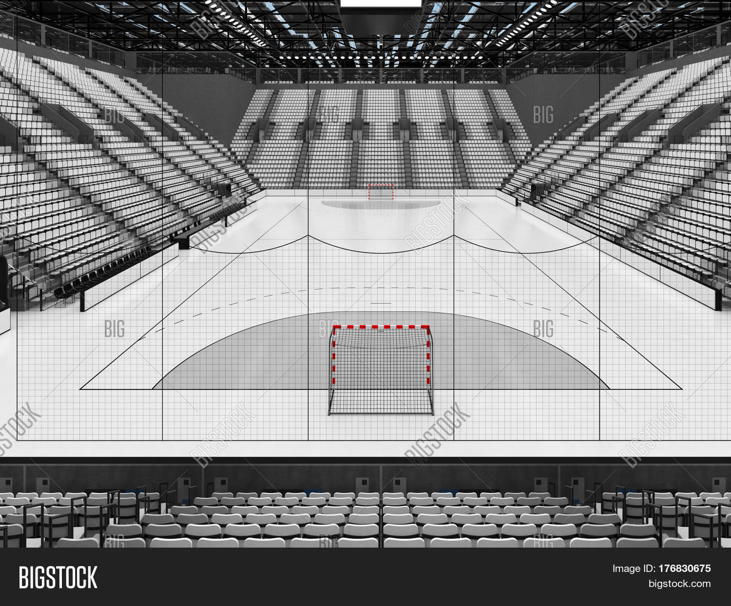 Beautiful Sports Arena Image & Photo (Free Trial) | Bigstock