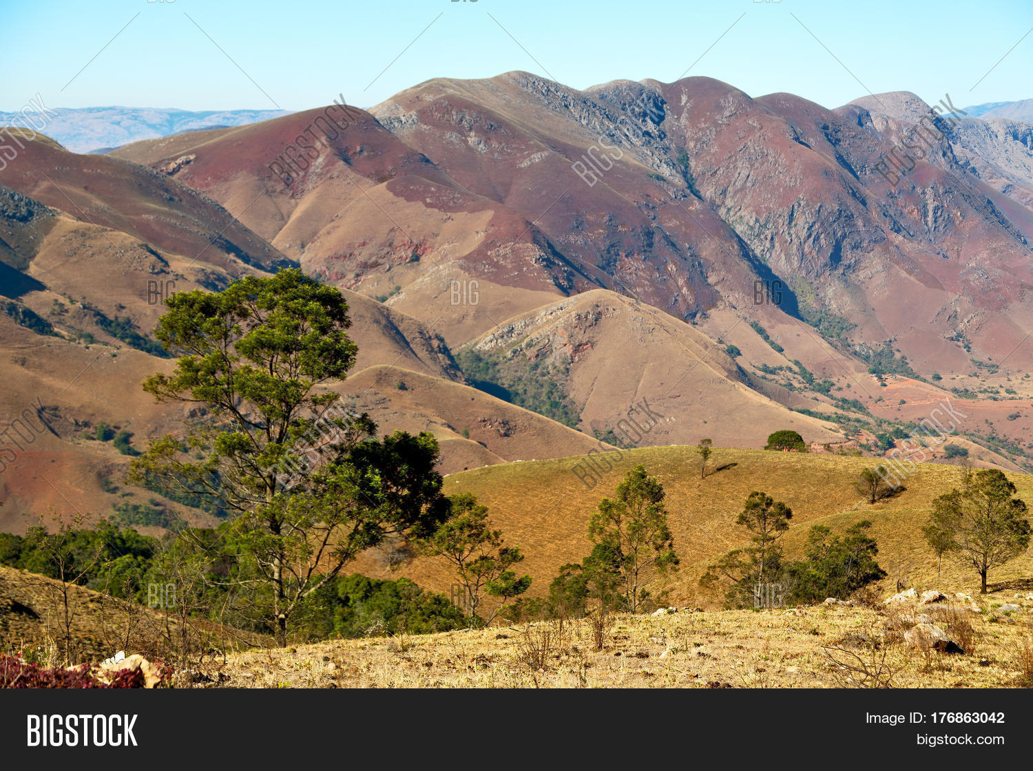 Swaziland Wildlife Image & Photo (Free Trial) | Bigstock
