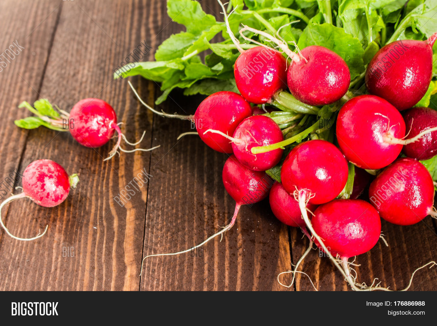 Red Radishes Bowl On Image & Photo (Free Trial) | Bigstock