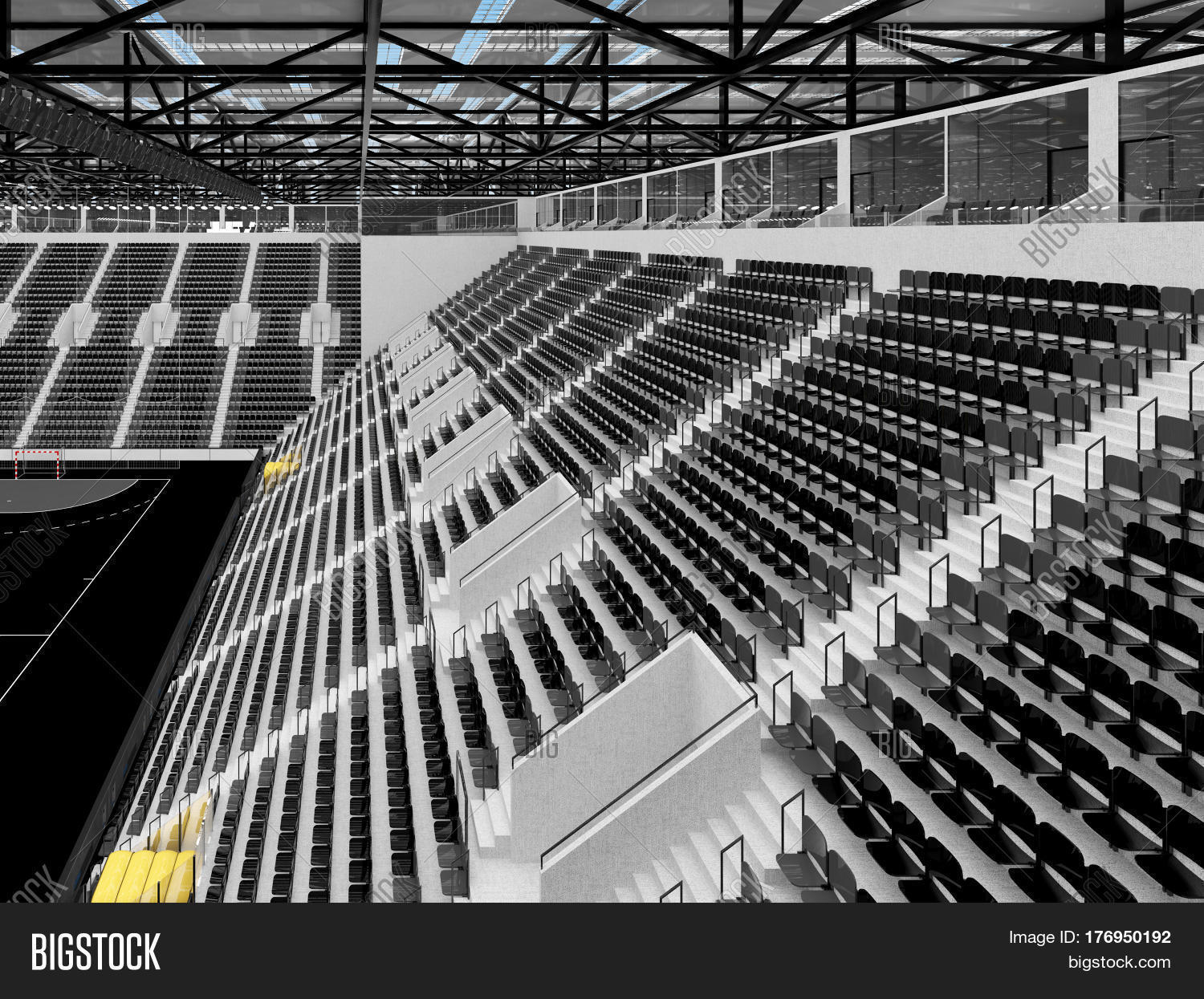 Beautiful Sports Arena Image & Photo (Free Trial) | Bigstock