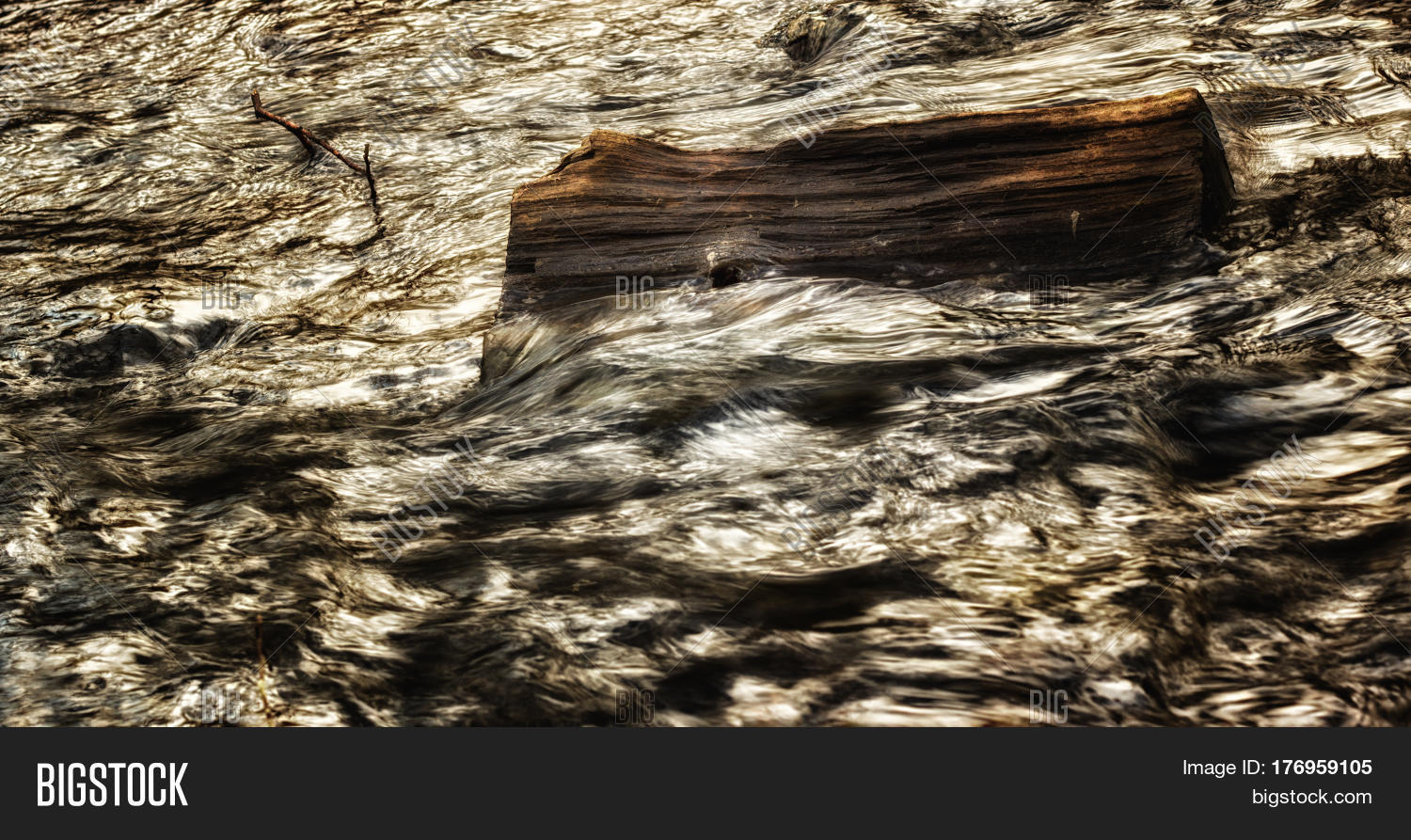 Log On Water Spring Image & Photo (Free Trial) | Bigstock