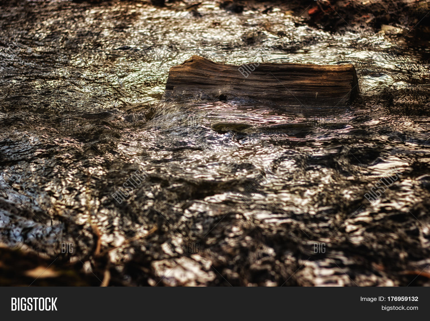 Log On Water Spring Image & Photo (Free Trial) | Bigstock