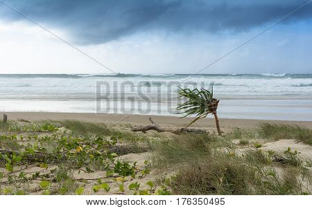 Gray Cloudy Sky Windy Image & Photo (Free Trial) | Bigstock