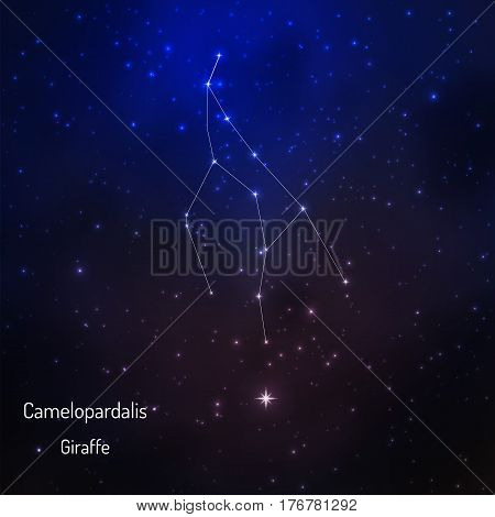 Camelopardus Vector & Photo (Free Trial) | Bigstock