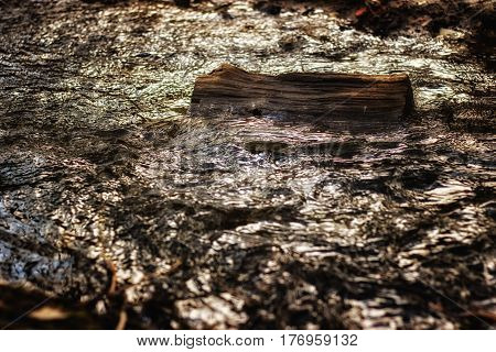 Log On Water Spring Image & Photo (Free Trial) | Bigstock