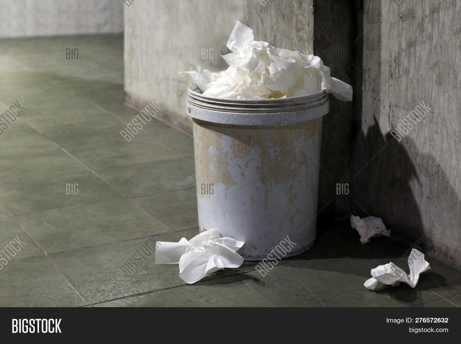 Waste Toilet Paper, Image & Photo (Free Trial) | Bigstock