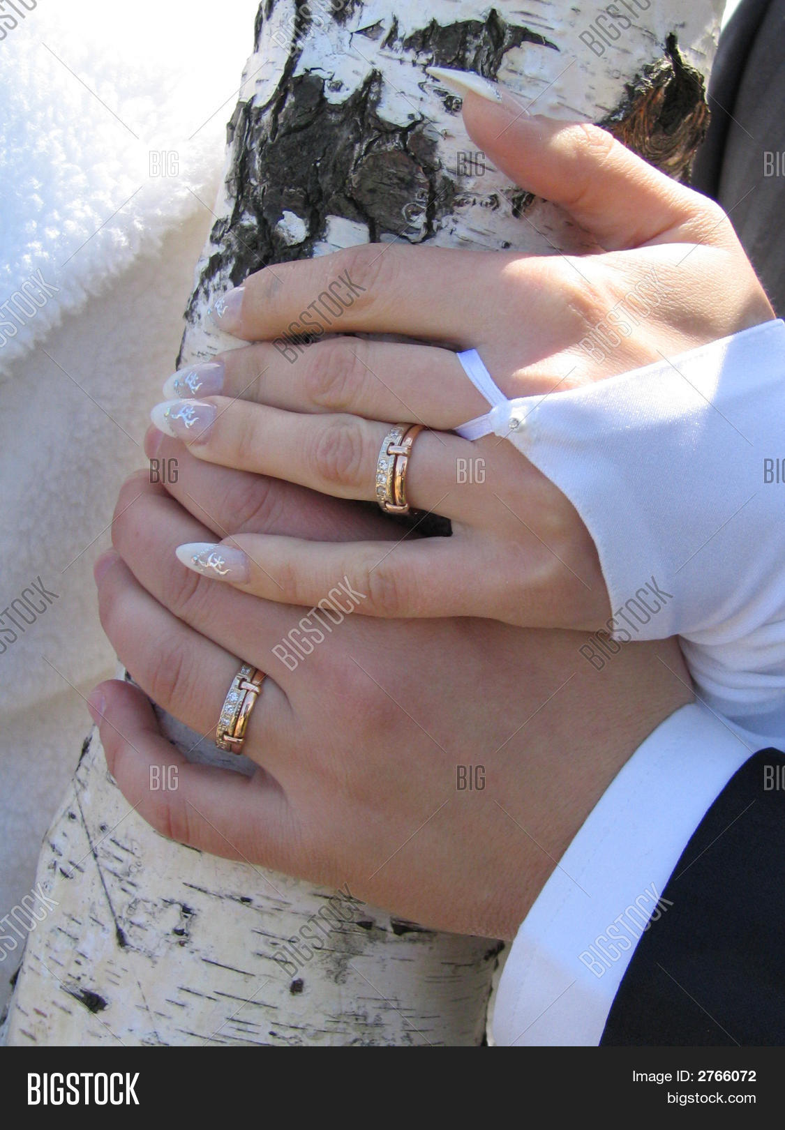Wedding Rings (Hands) Image & Photo (Free Trial) | Bigstock