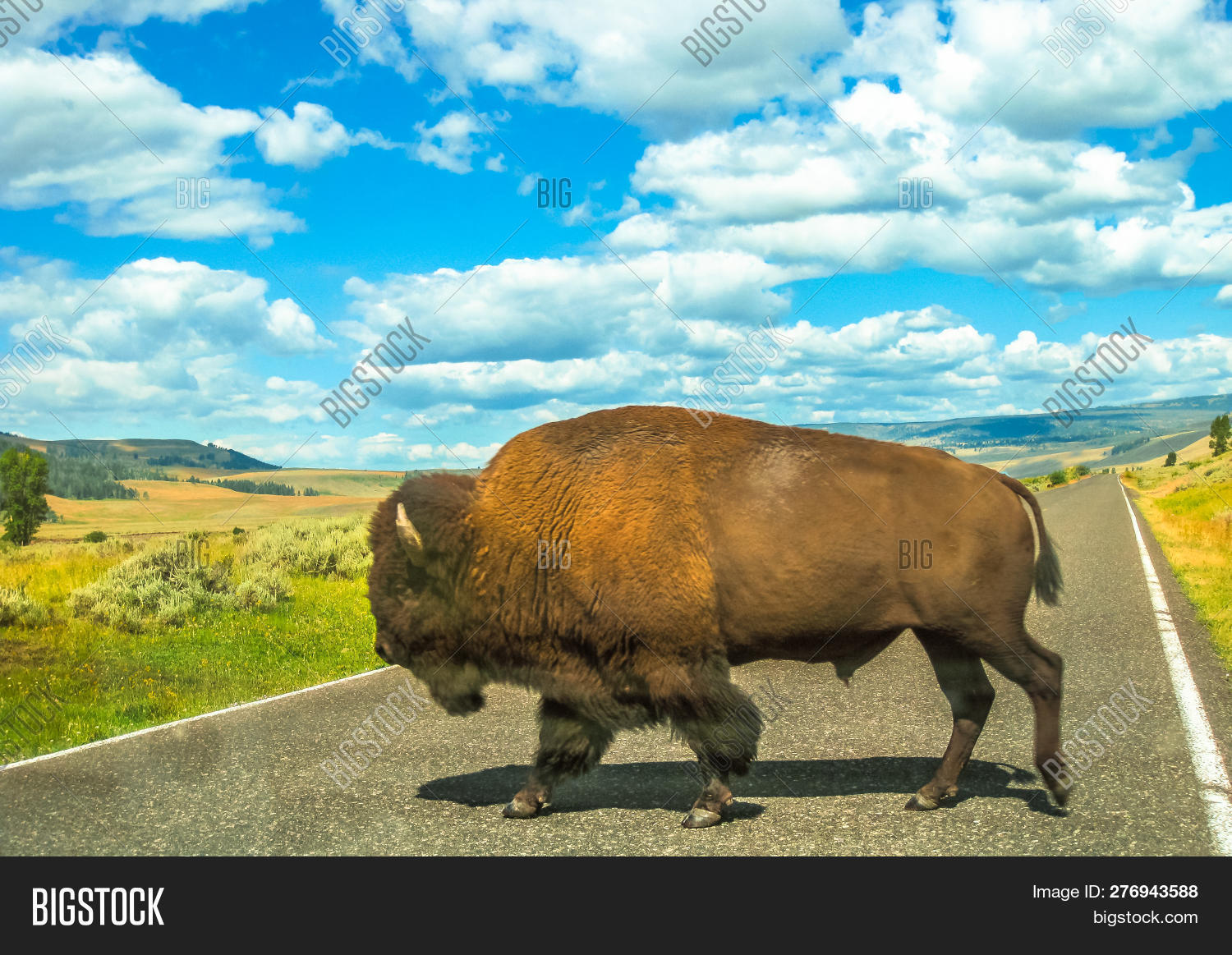 Side View Adult Image & Photo (Free Trial) | Bigstock