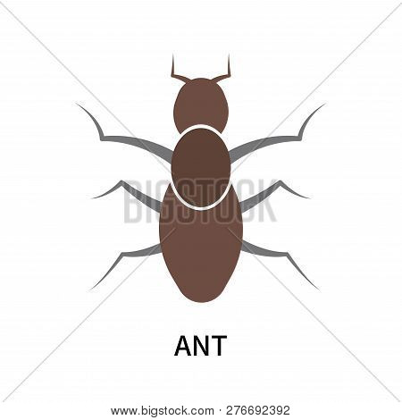 Ant Icon Isolated On Vector & Photo (Free Trial) | Bigstock