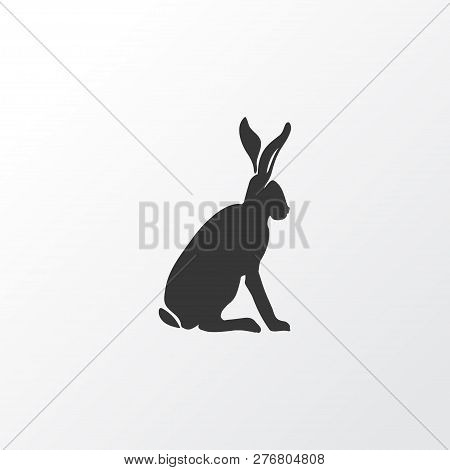 Hare Icon Symbol. Image & Photo (Free Trial) | Bigstock
