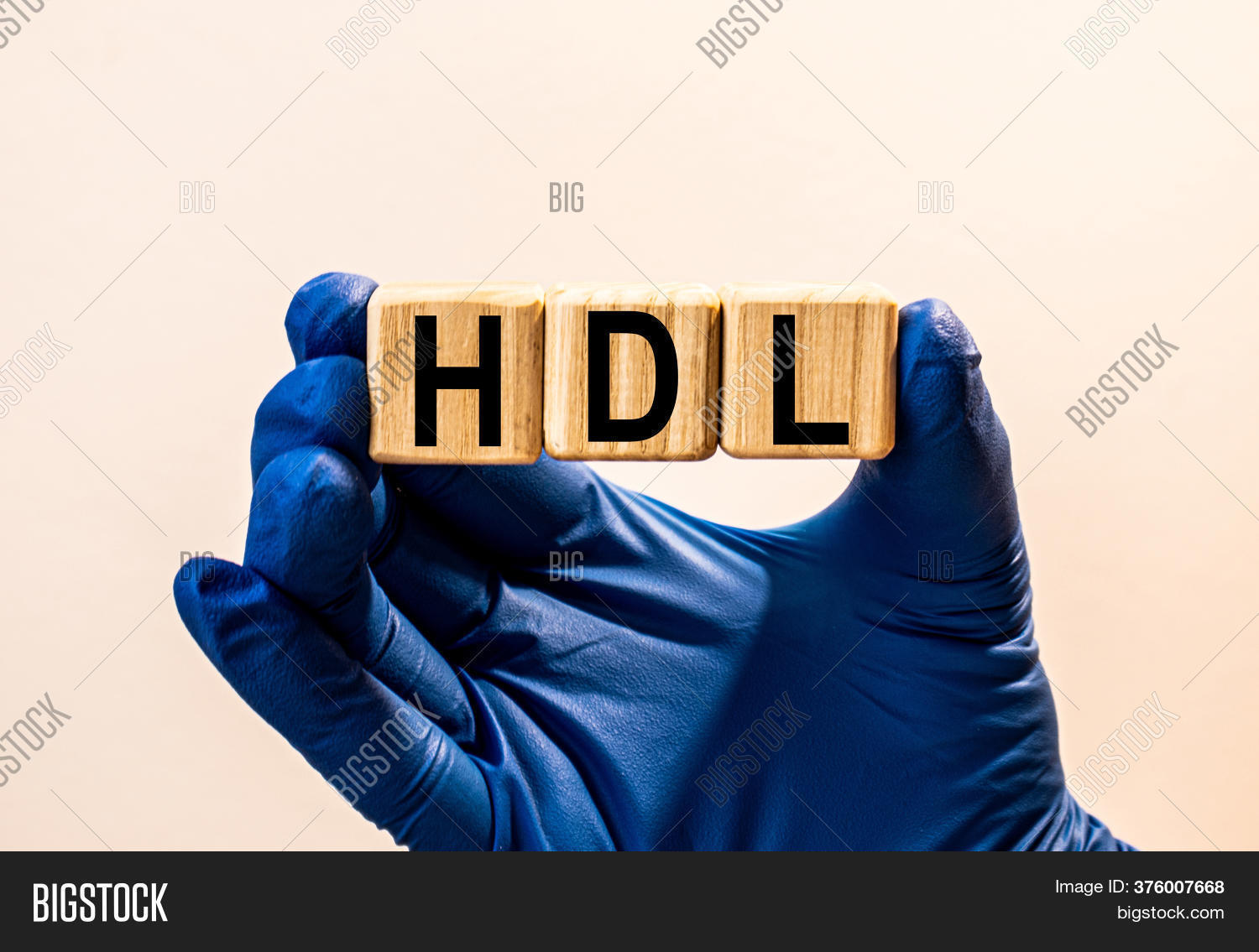 Word Hdl Which Made Image & Photo (Free Trial) | Bigstock