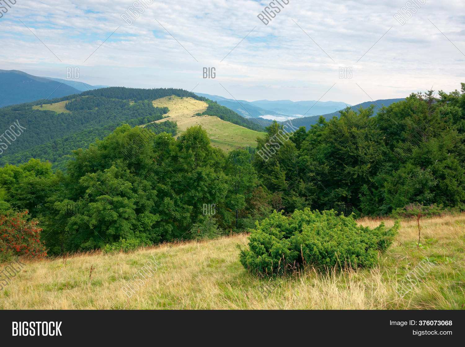 Green Nature Landscape Image & Photo (Free Trial) | Bigstock