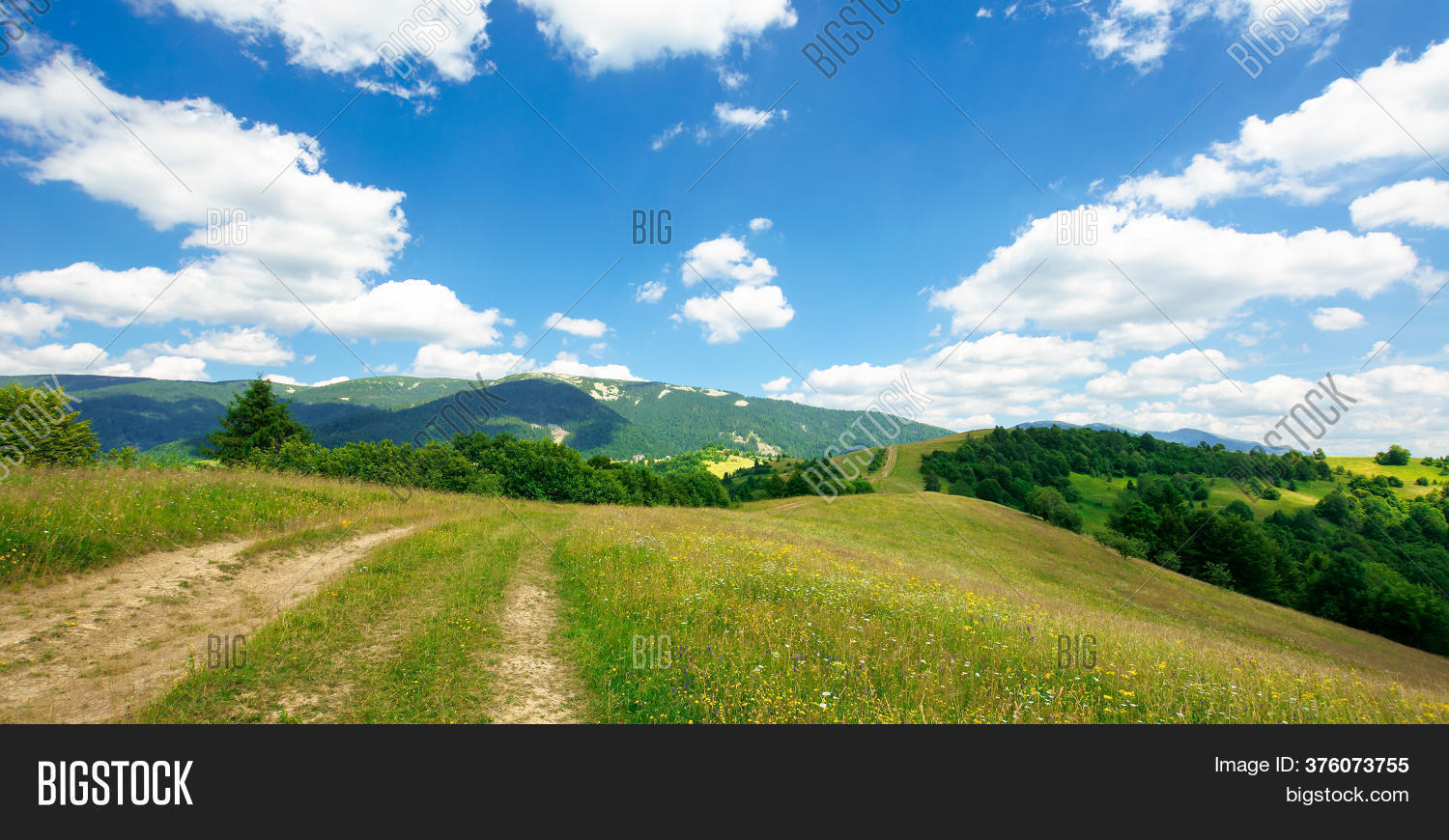 Path Through Meadow Image & Photo (Free Trial) | Bigstock