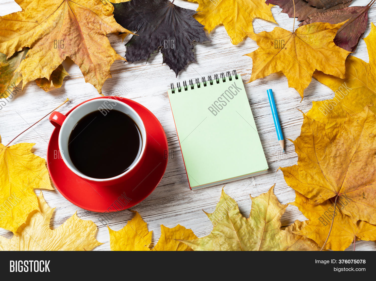 Flat Lay Autumn Image & Photo (Free Trial) | Bigstock