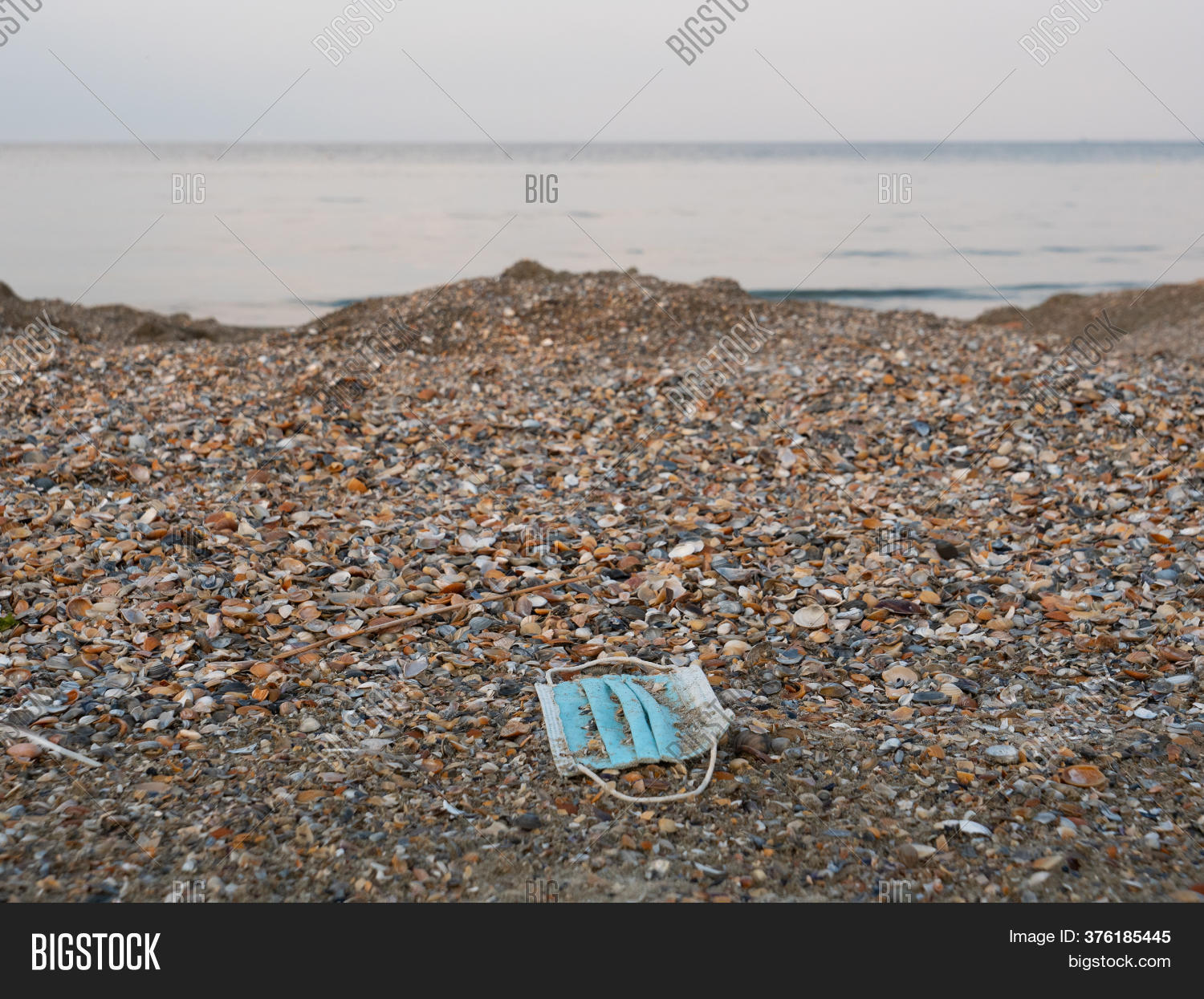 Mask Thrown On Beach Image & Photo (Free Trial) | Bigstock