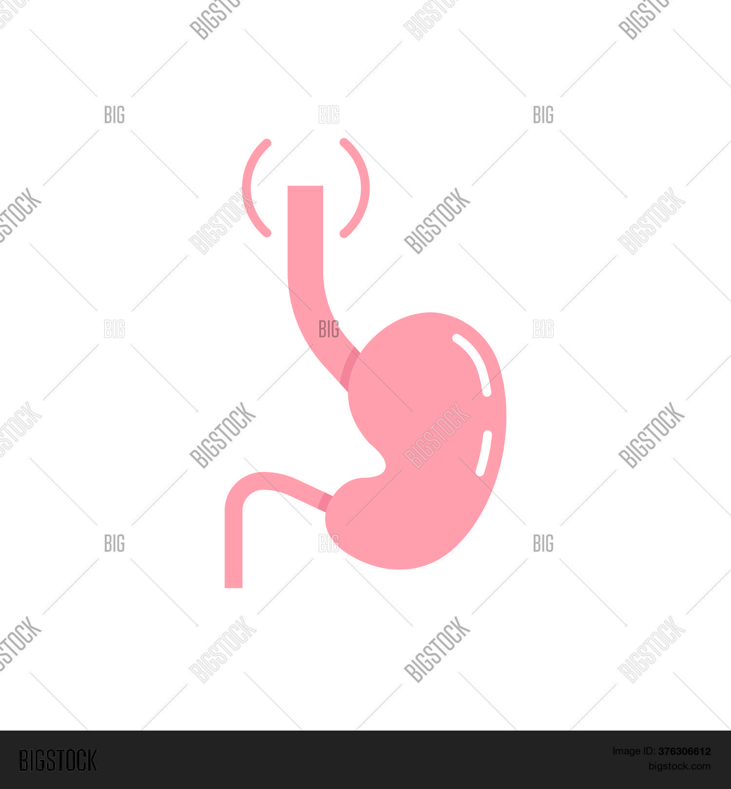 Esophagus Vector Icon Vector & Photo (Free Trial) | Bigstock