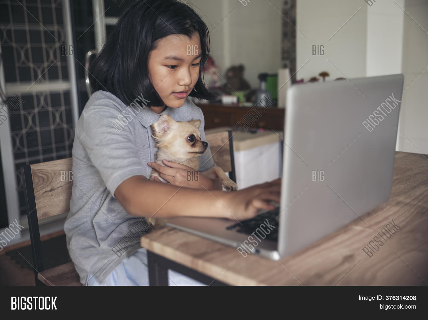 Asian Kid Using Laptop Image & Photo (Free Trial) | Bigstock
