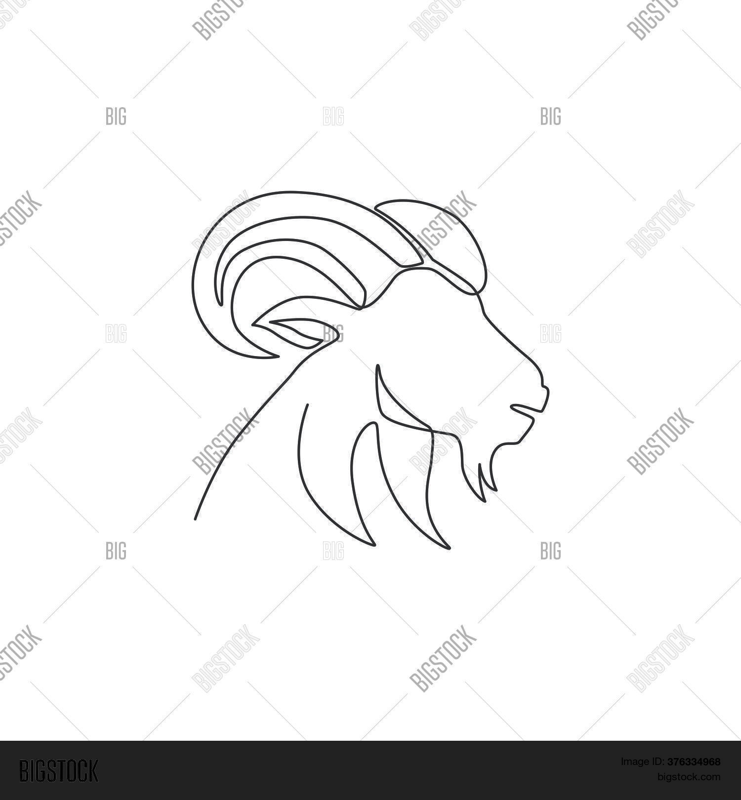 One Single Line Vector & Photo (Free Trial) | Bigstock
