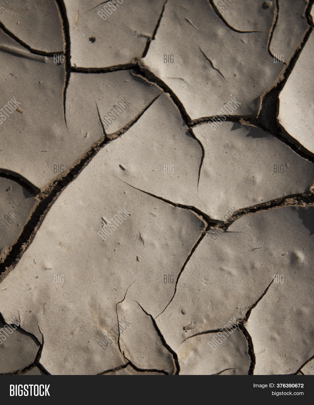 Grunge Soil Background Image & Photo (Free Trial) | Bigstock