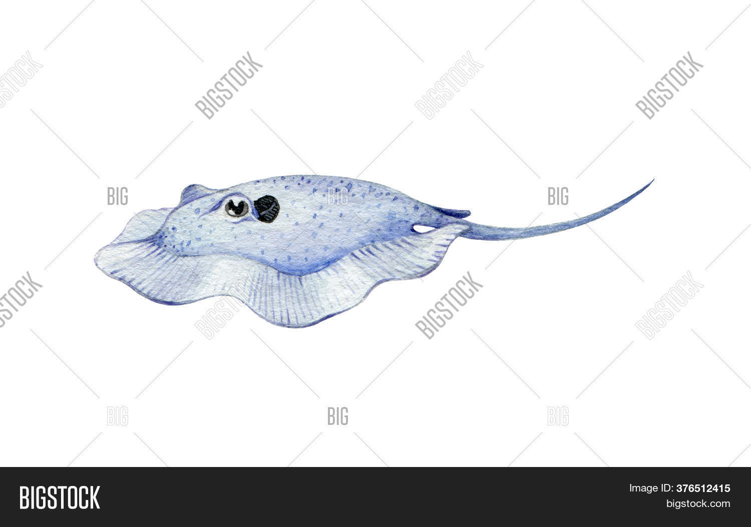 Blue Stingray Fish Image & Photo (Free Trial) | Bigstock