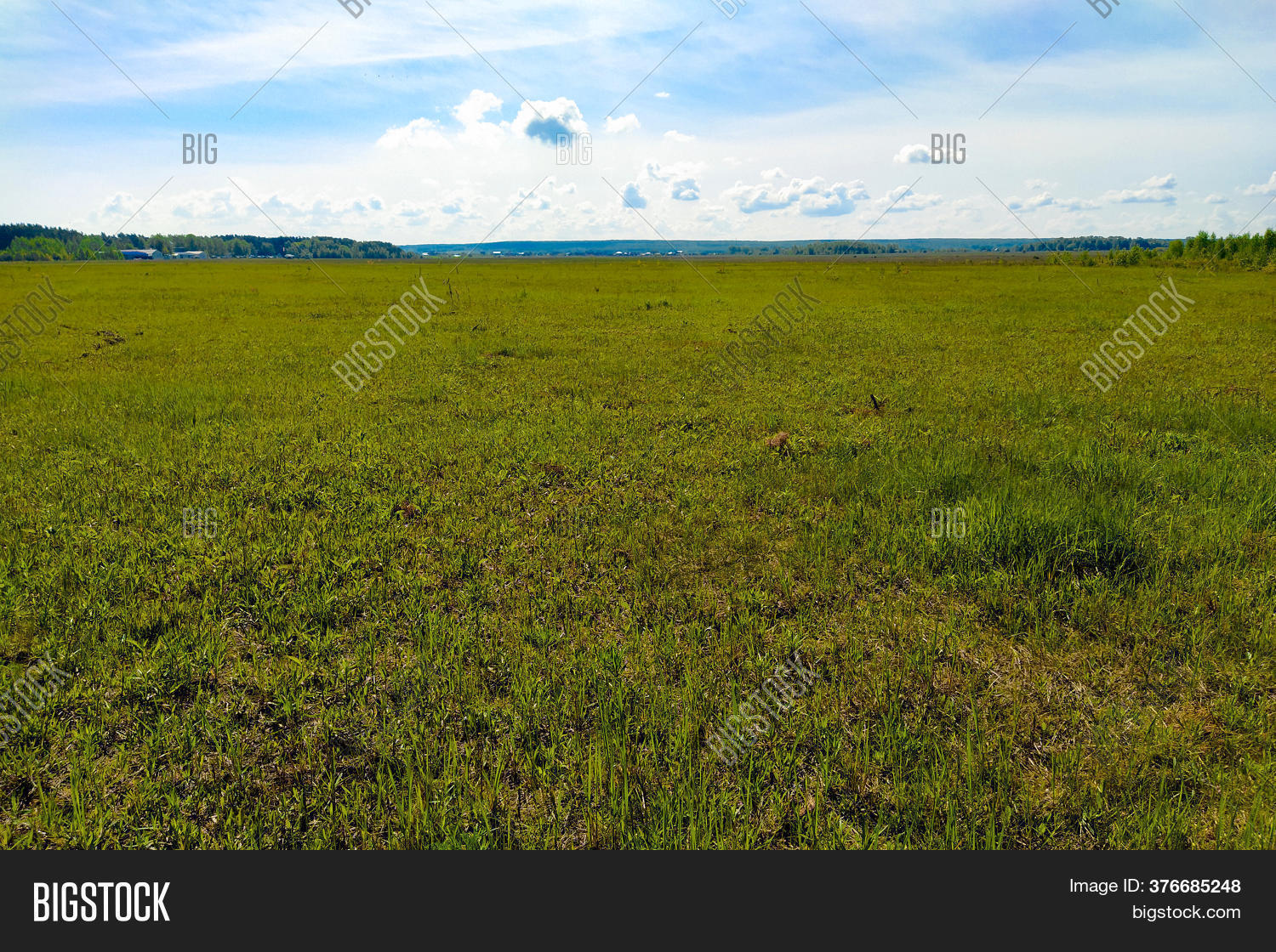 Image Summer Field Image & Photo (Free Trial) | Bigstock