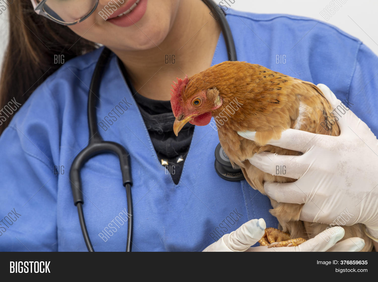 Veterinary Doctor Image & Photo (Free Trial) | Bigstock