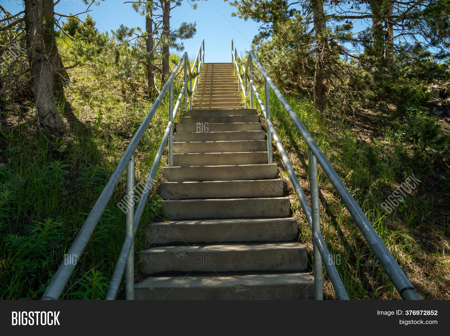 Stairs Leading Down Image & Photo (Free Trial) | Bigstock