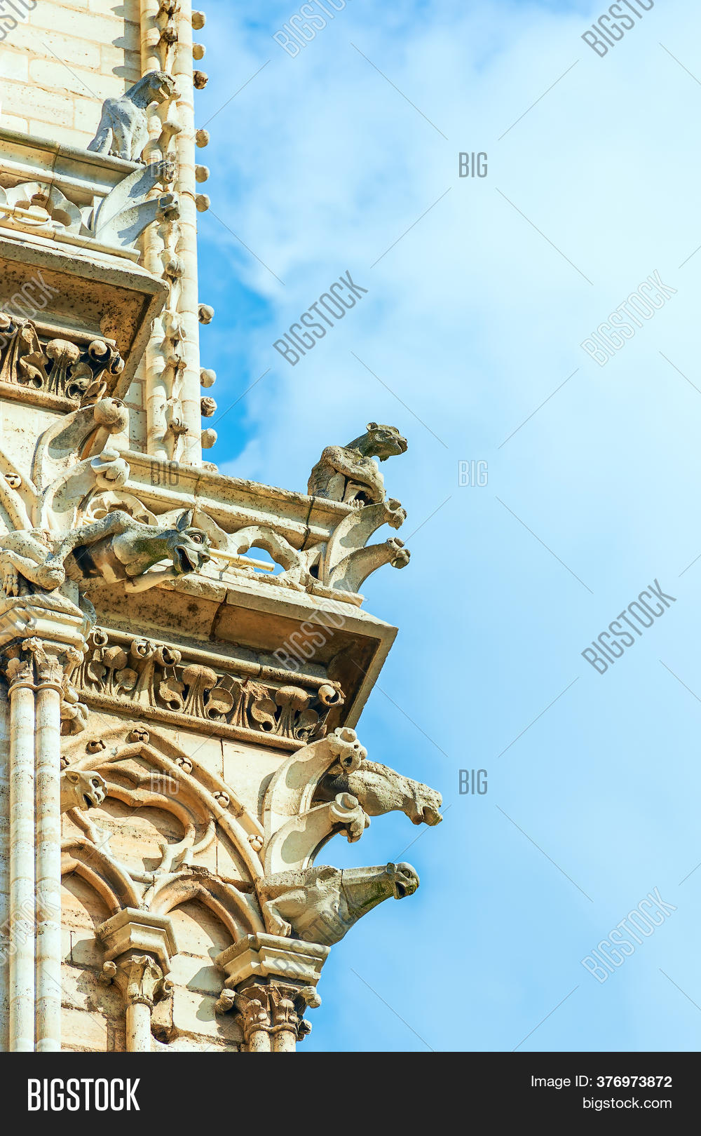 Chimera Gargoyles Image & Photo (Free Trial) | Bigstock