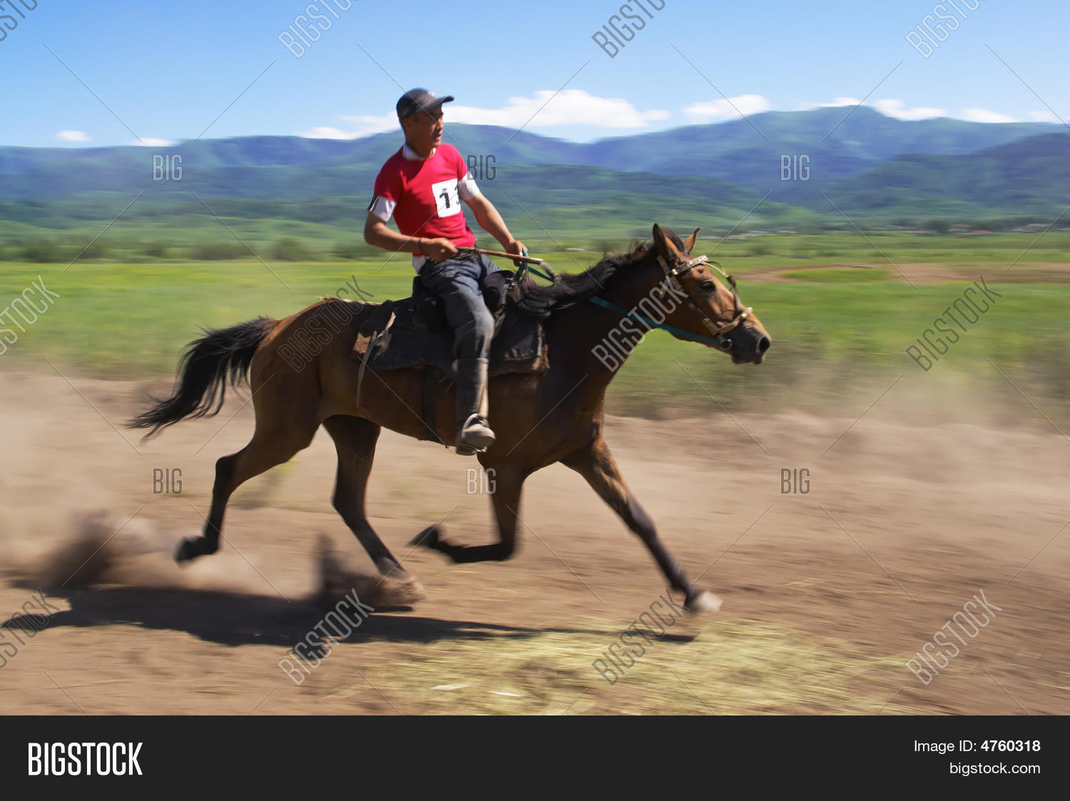 Bayga - Traditional Image & Photo (Free Trial) | Bigstock