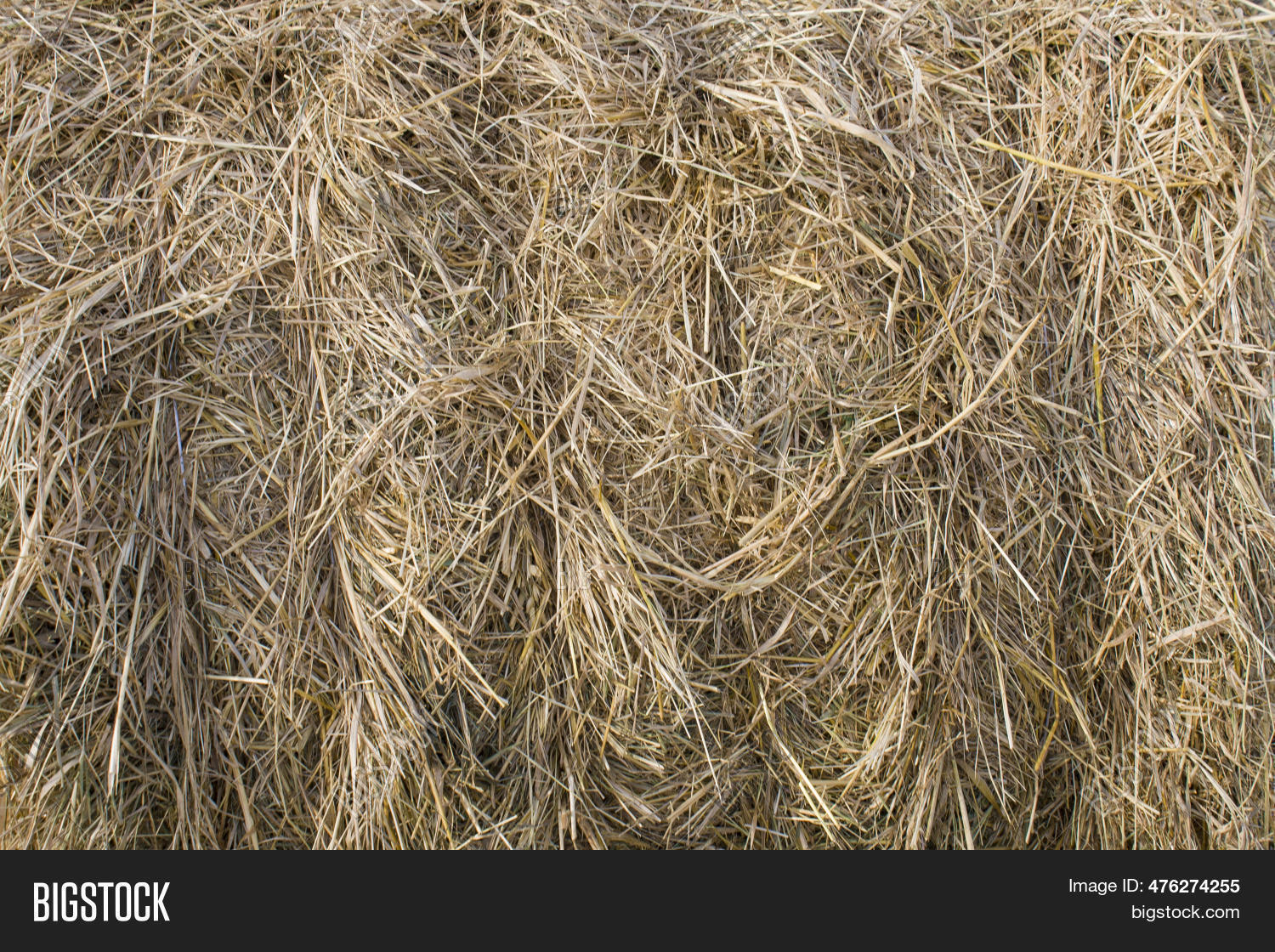 Texture Hay. Fin Made Image & Photo (Free Trial) | Bigstock