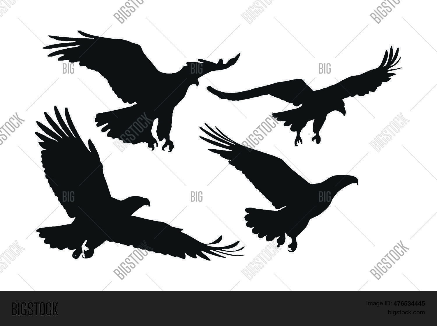 Eagle Flying Vector & Photo (Free Trial) | Bigstock