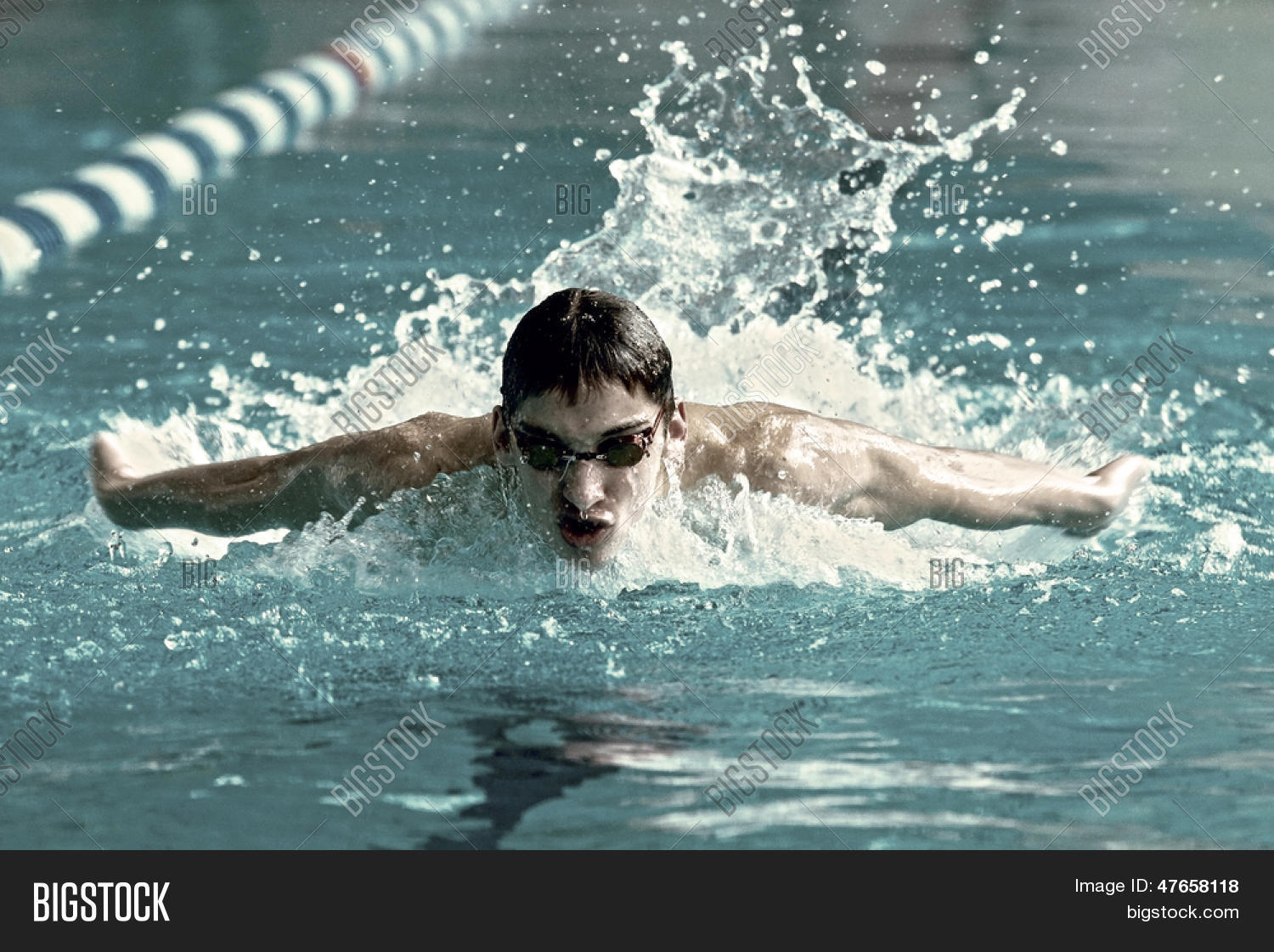 Swimmer Waterpool Swim Image & Photo (Free Trial) | Bigstock