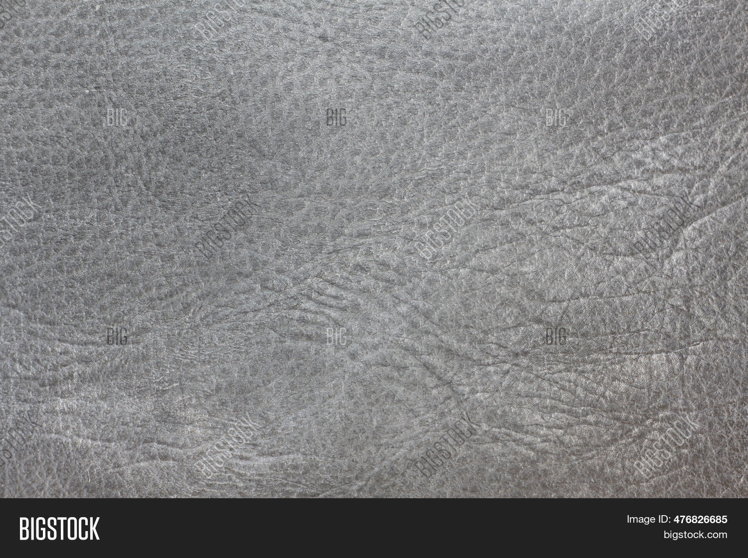 Beautiful Grey Image & Photo (Free Trial) | Bigstock